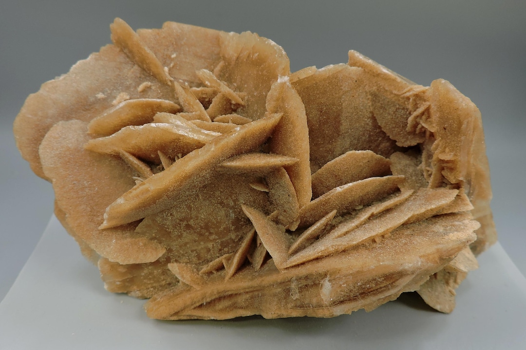 Large Desert Rose / Sand Rose From Tunisia – Large Cabinet Size - Etsy