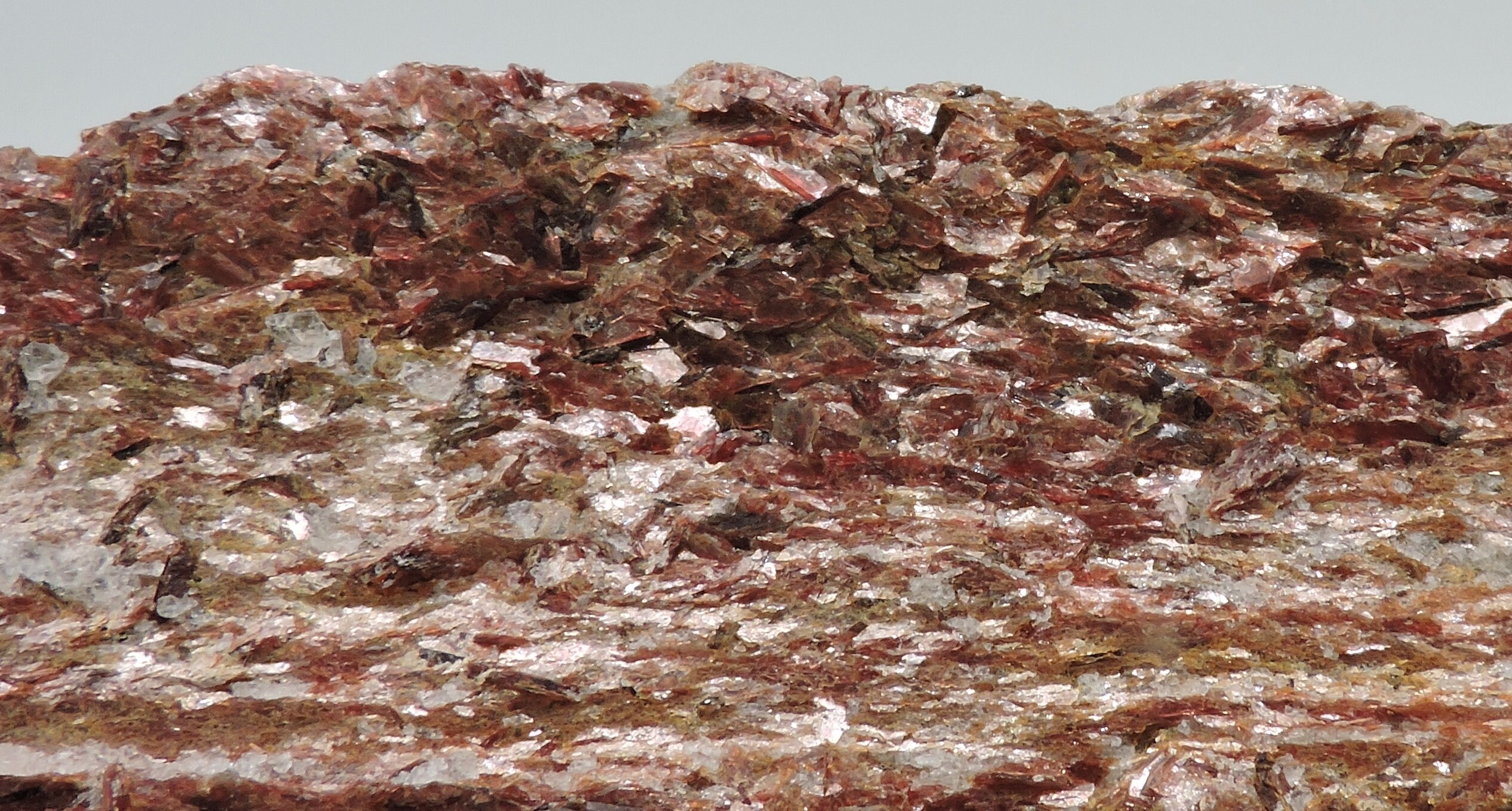 Muscovite Mica Schist