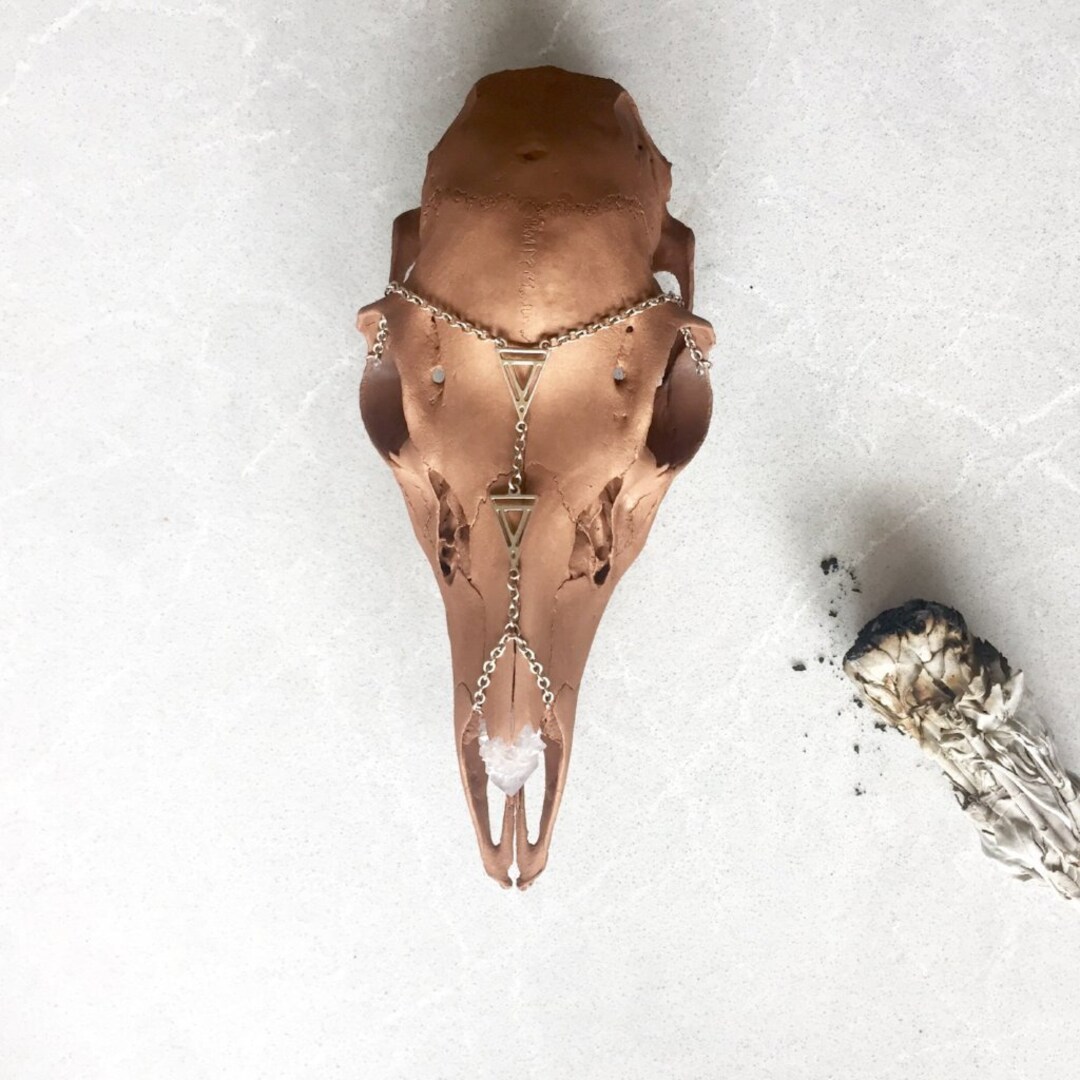 Deer Skull Wall Art: Copper, Spirit Quartz, Altar Adornment - Etsy