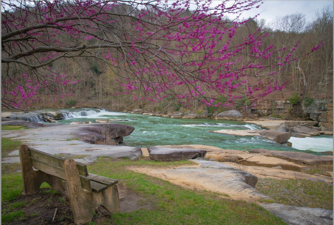 Spring in Valley Falls State Park - Etsy