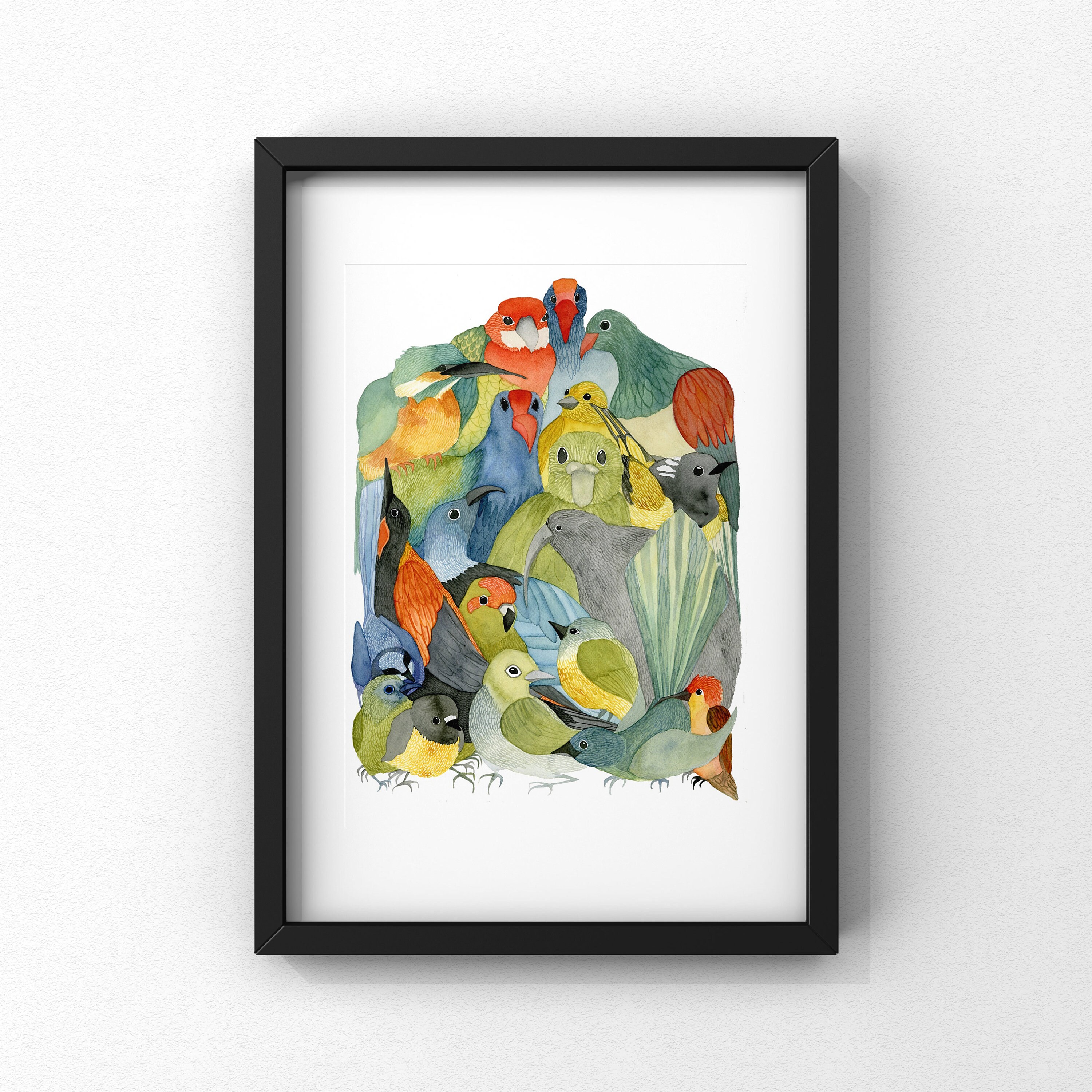 Birds of New Zealand - Etsy