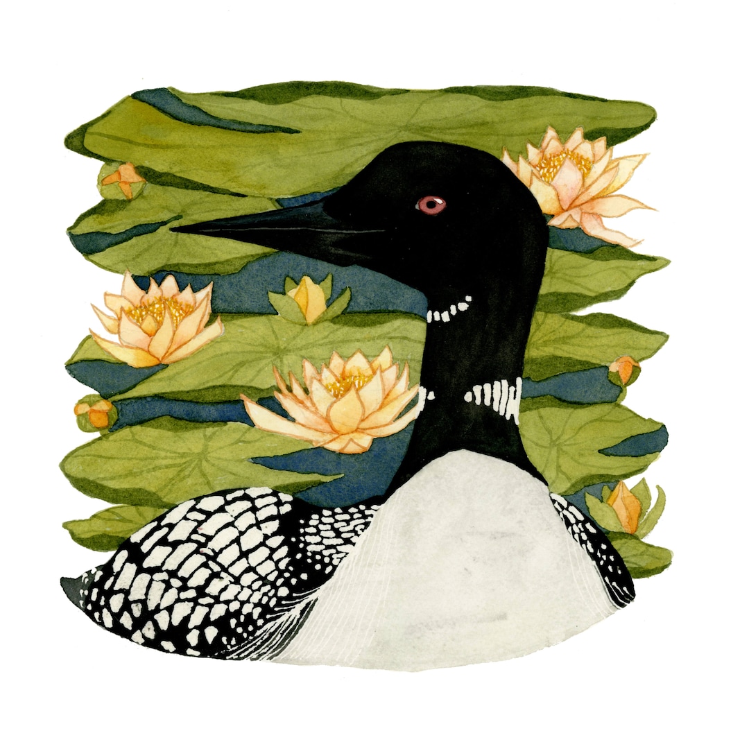 Common Loon Watercolor Painting: Water Lily Pond Art - Etsy