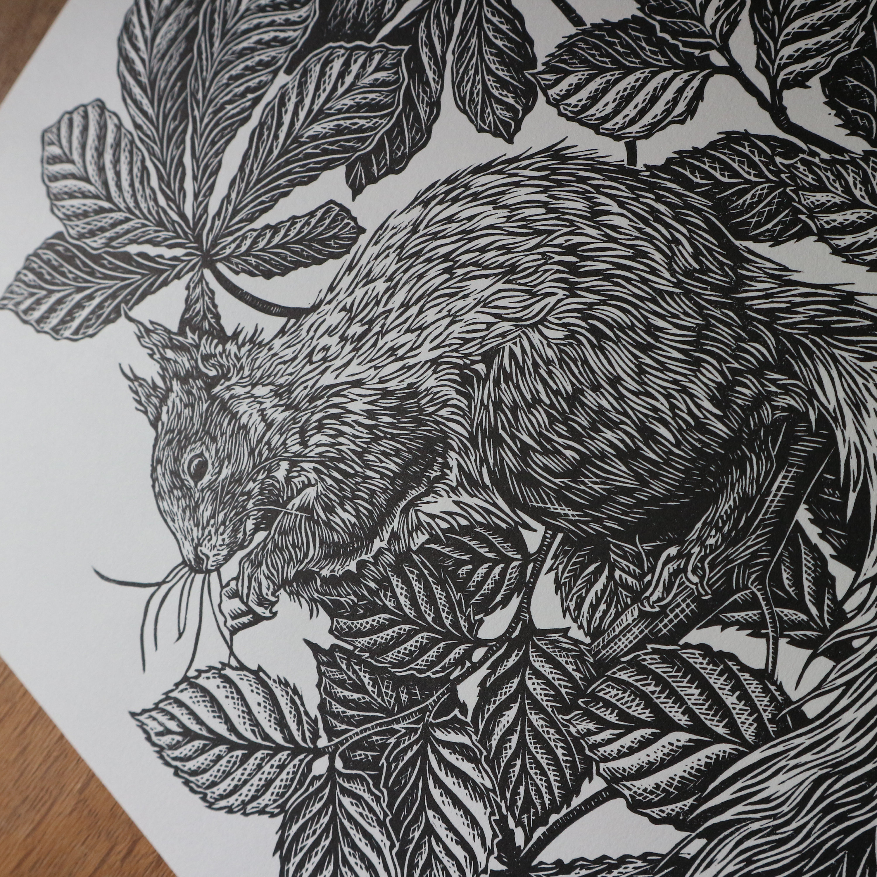 Squirrel in the Leaves Original Lino Cut Print Block Print - Etsy