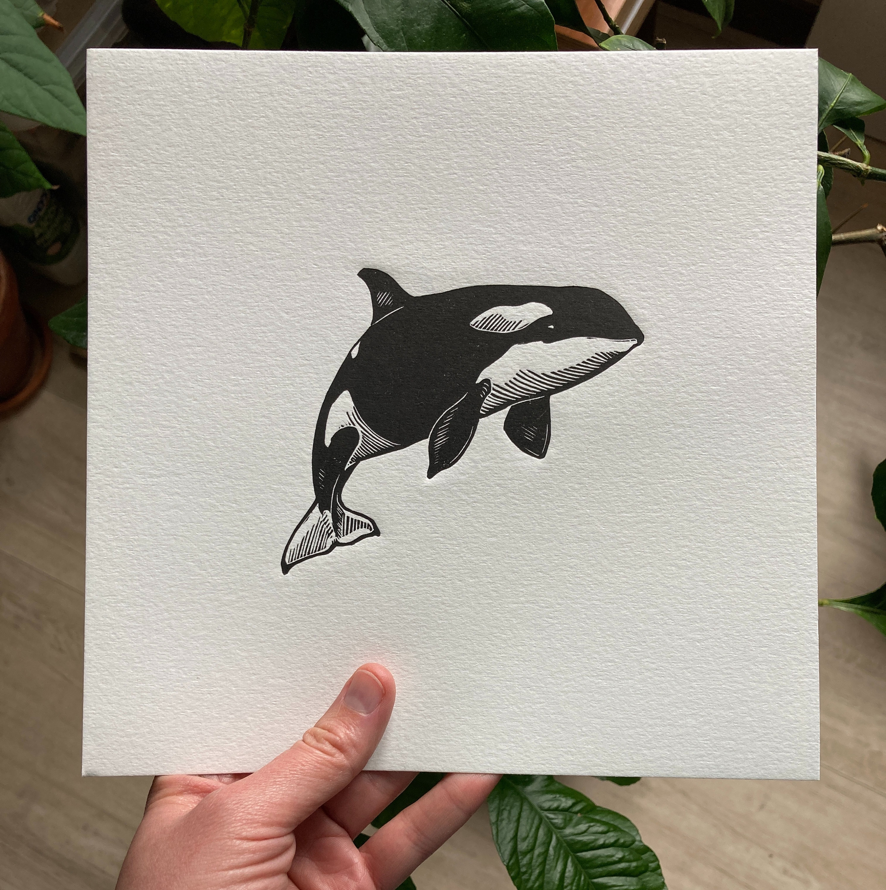 Orca - Original Lino Cut Print Whale - Etsy