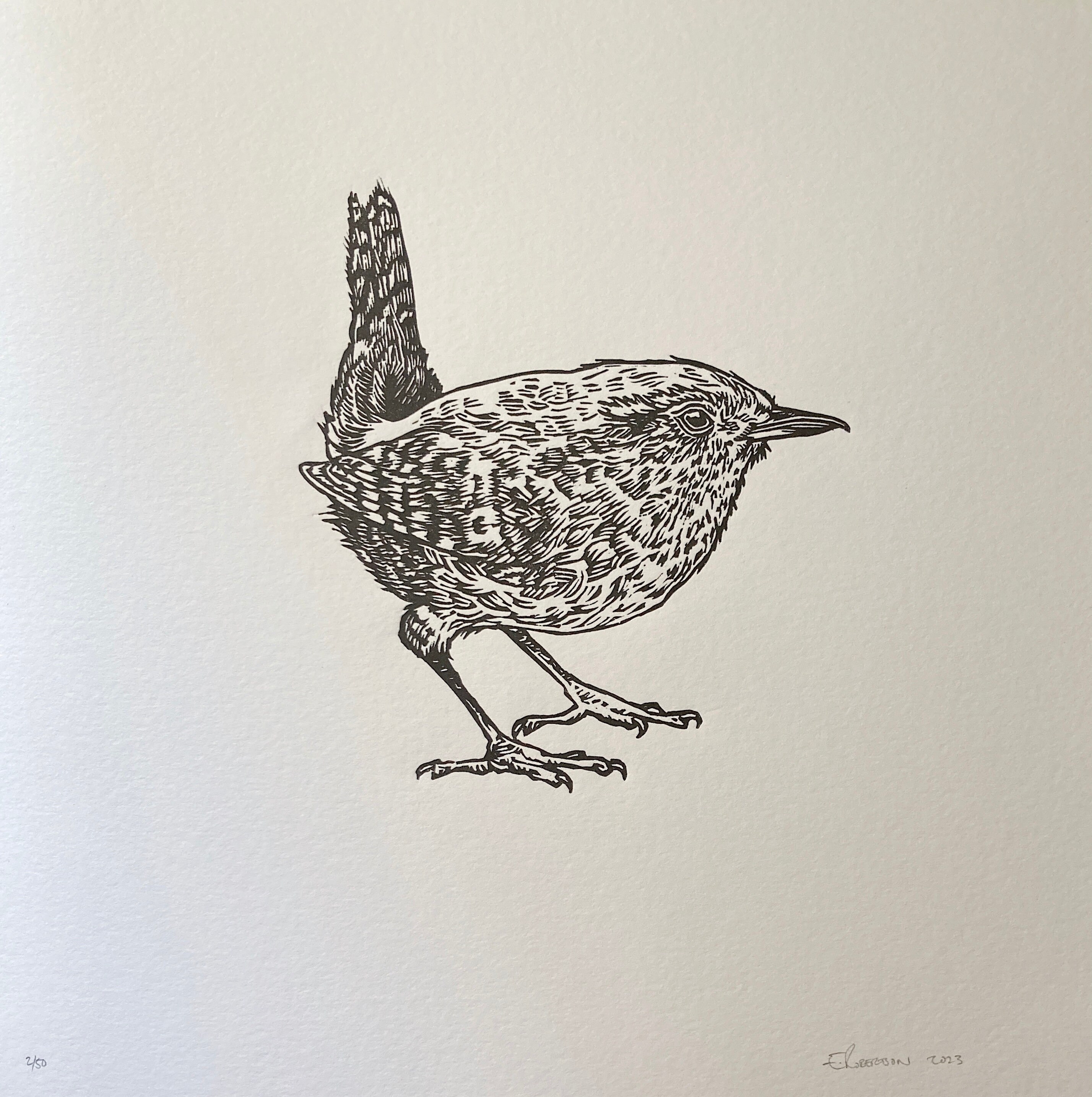Wren - Original Lino Cut Print Bird Art - Etsy
