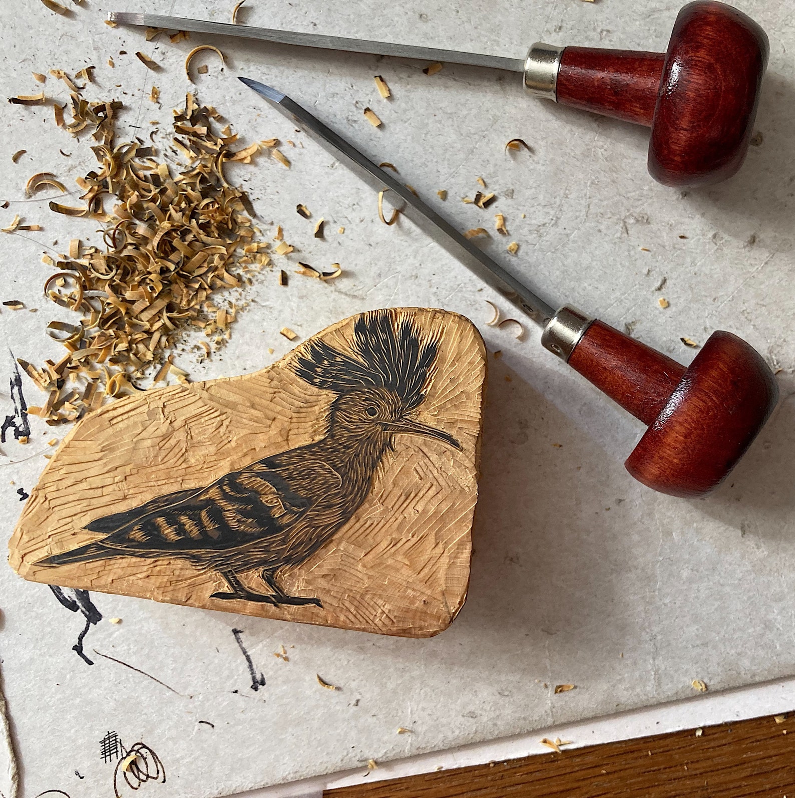 Little Hoopoe Wood Engraved Print - Etsy