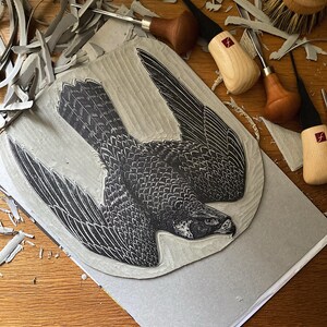 Peregrine Falcon - Original Lino Cut Print - Etsy