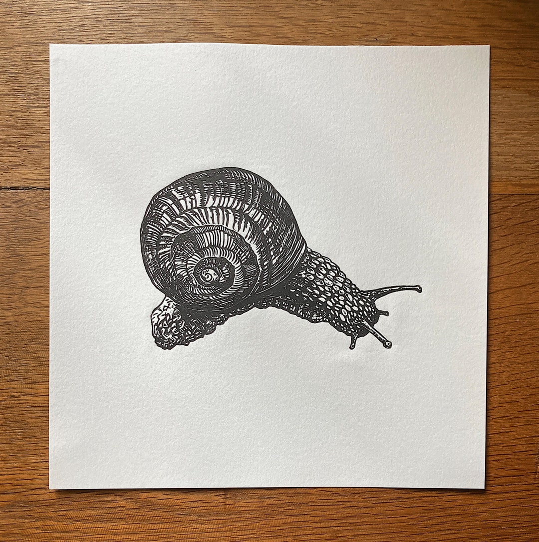 Snail - Original Lino Cut Print - Etsy