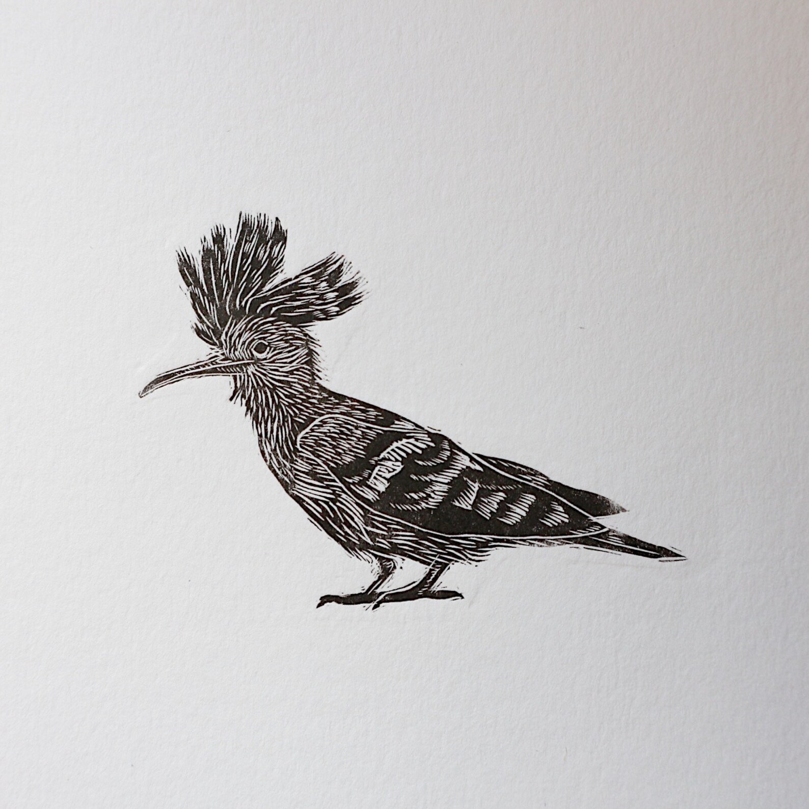 Little Hoopoe Wood Engraved Print - Etsy
