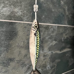Mackerel Fish Light Pull Cord, Fish Art - Etsy