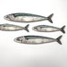 4 Mackerel Fish Art Fish Wall Art Shoal Fish Contemporary - Etsy