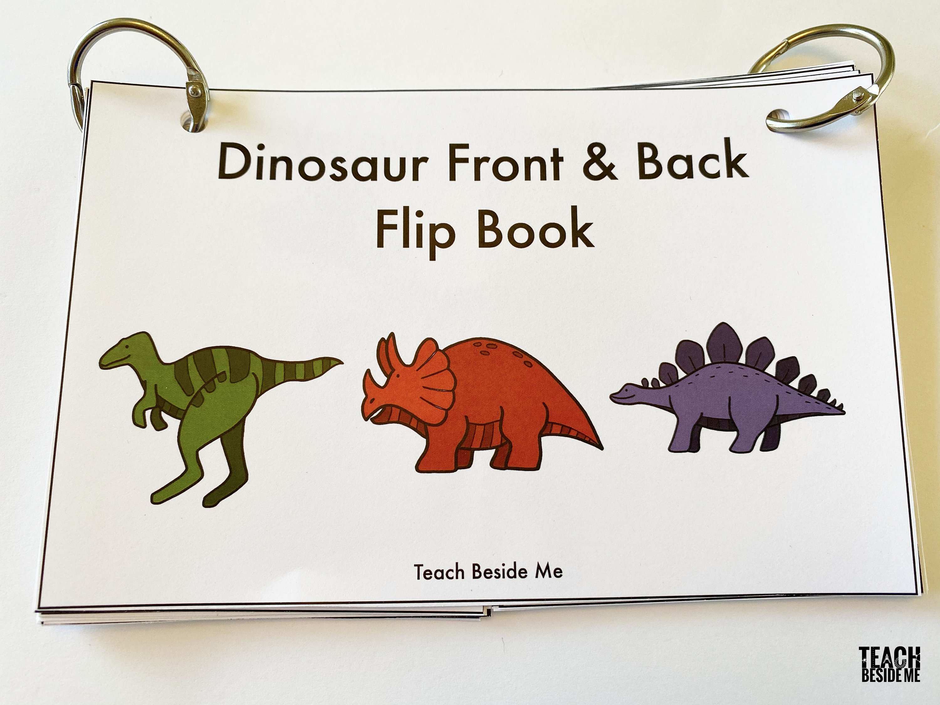 Dinosaur Front and Back Flip Book - Etsy