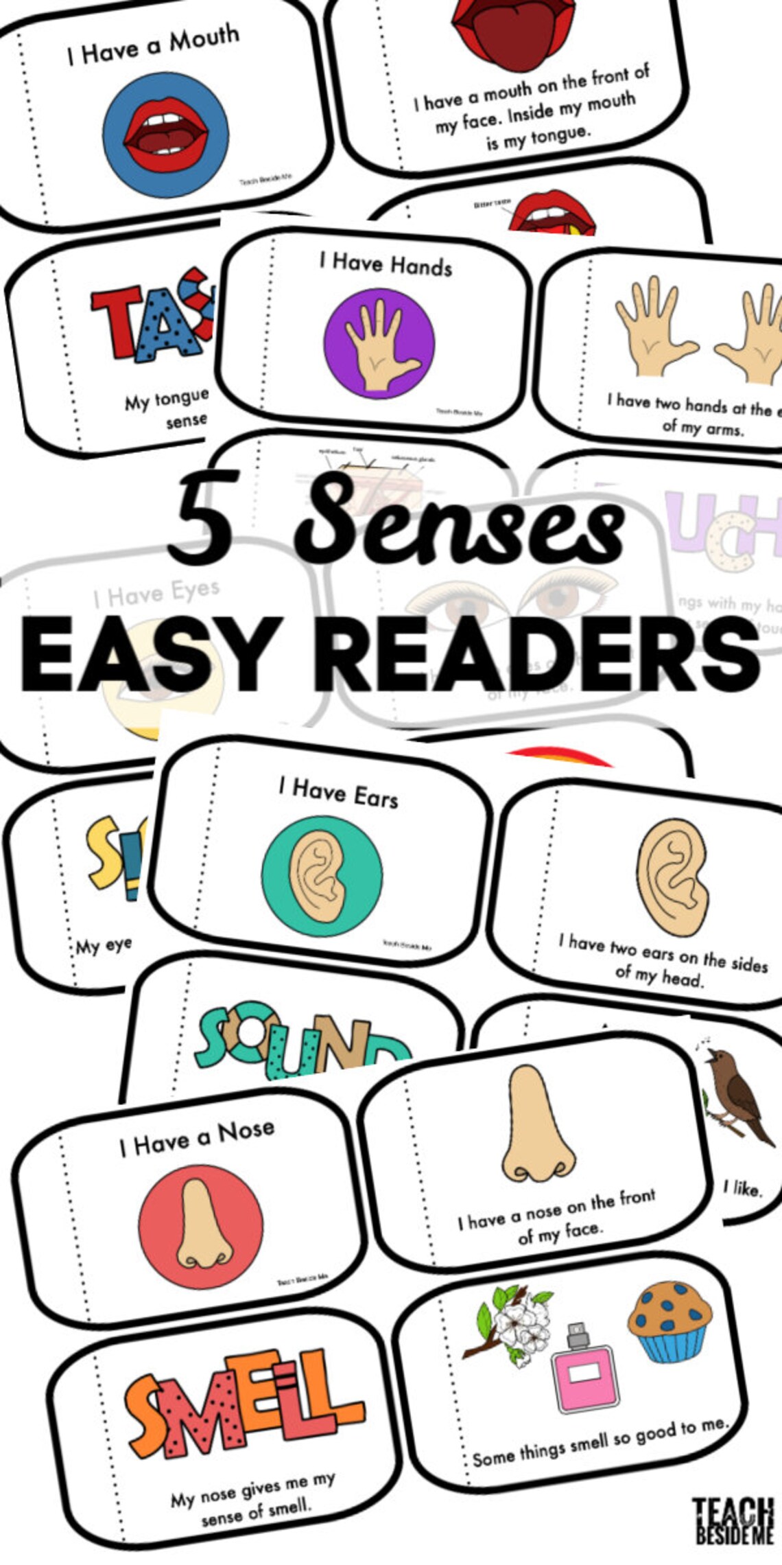 Five Senses Easy Reader Books - Etsy