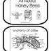 All About Bees- Mini Book & Game - Etsy