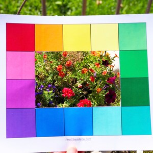 Color Viewer for a Color Hunt - Etsy