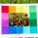 Color Viewer for a Color Hunt - Etsy