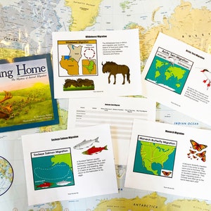 Mapping Animal Migrations - Etsy