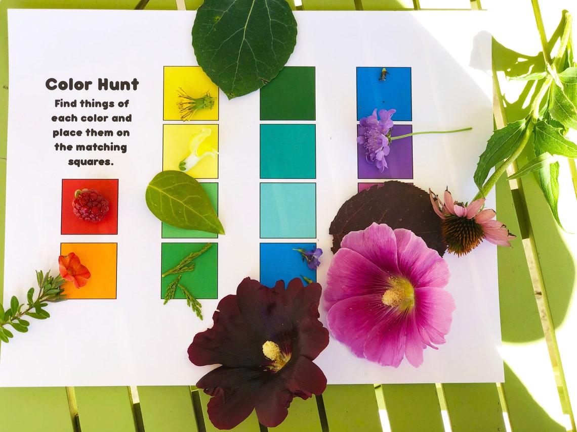 Color Viewer for a Color Hunt - Etsy