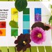 Color Viewer for a Color Hunt - Etsy