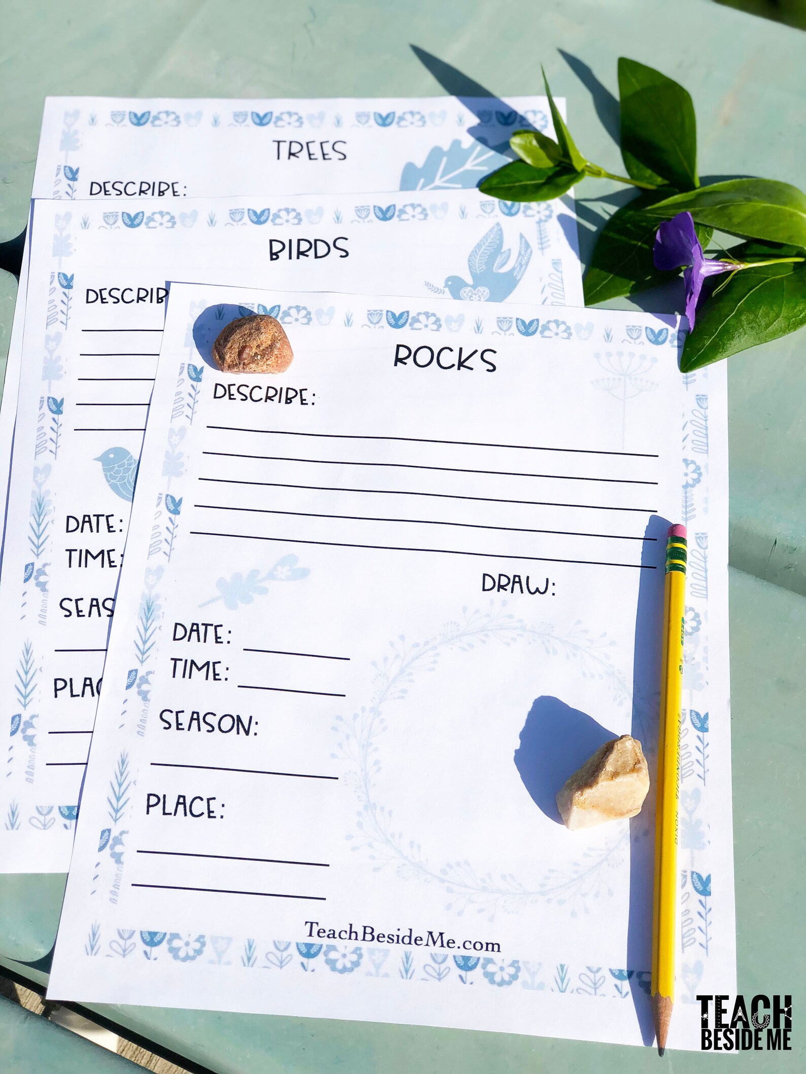 Nature Study Notebook - Etsy