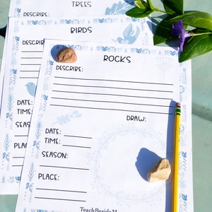 Nature Study Notebook - Etsy