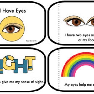 Five Senses Easy Reader Books - Etsy