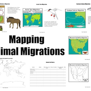 Mapping Animal Migrations - Etsy