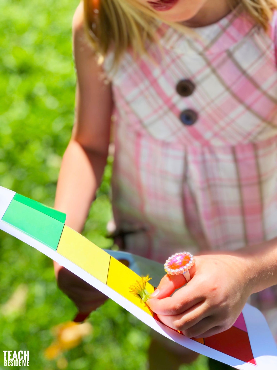 Color Viewer for a Color Hunt - Etsy