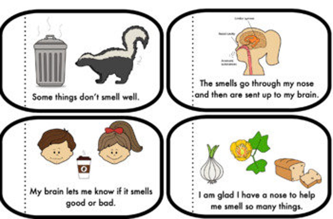 Five Senses Easy Reader Books - Etsy