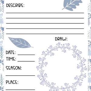 Nature Study Notebook - Etsy