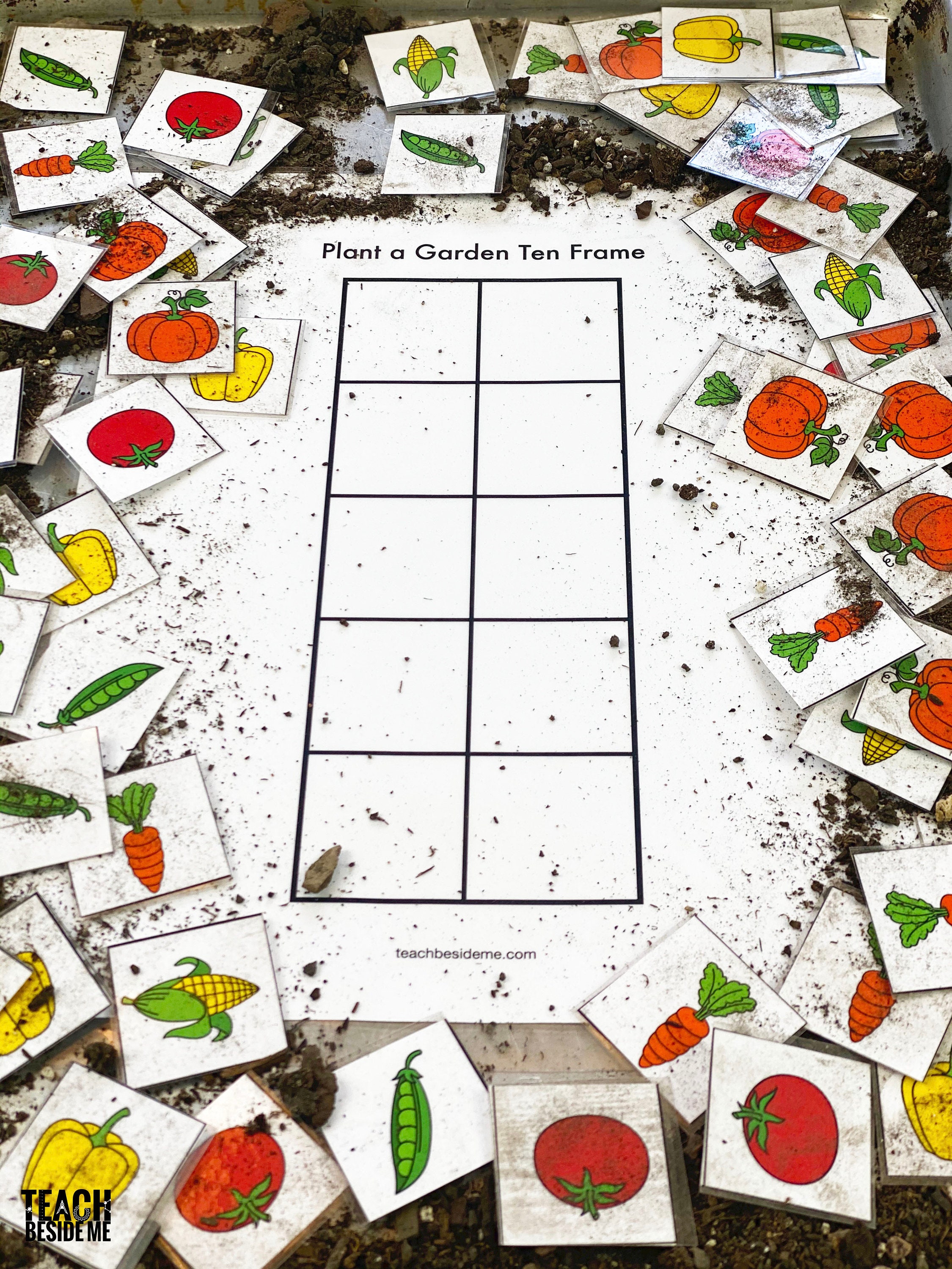 Garden Ten Frame Math - Etsy