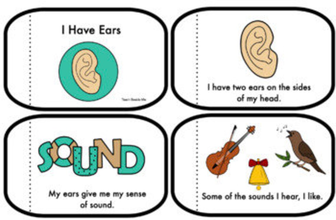 Five Senses Easy Reader Books - Etsy
