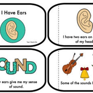Five Senses Easy Reader Books - Etsy