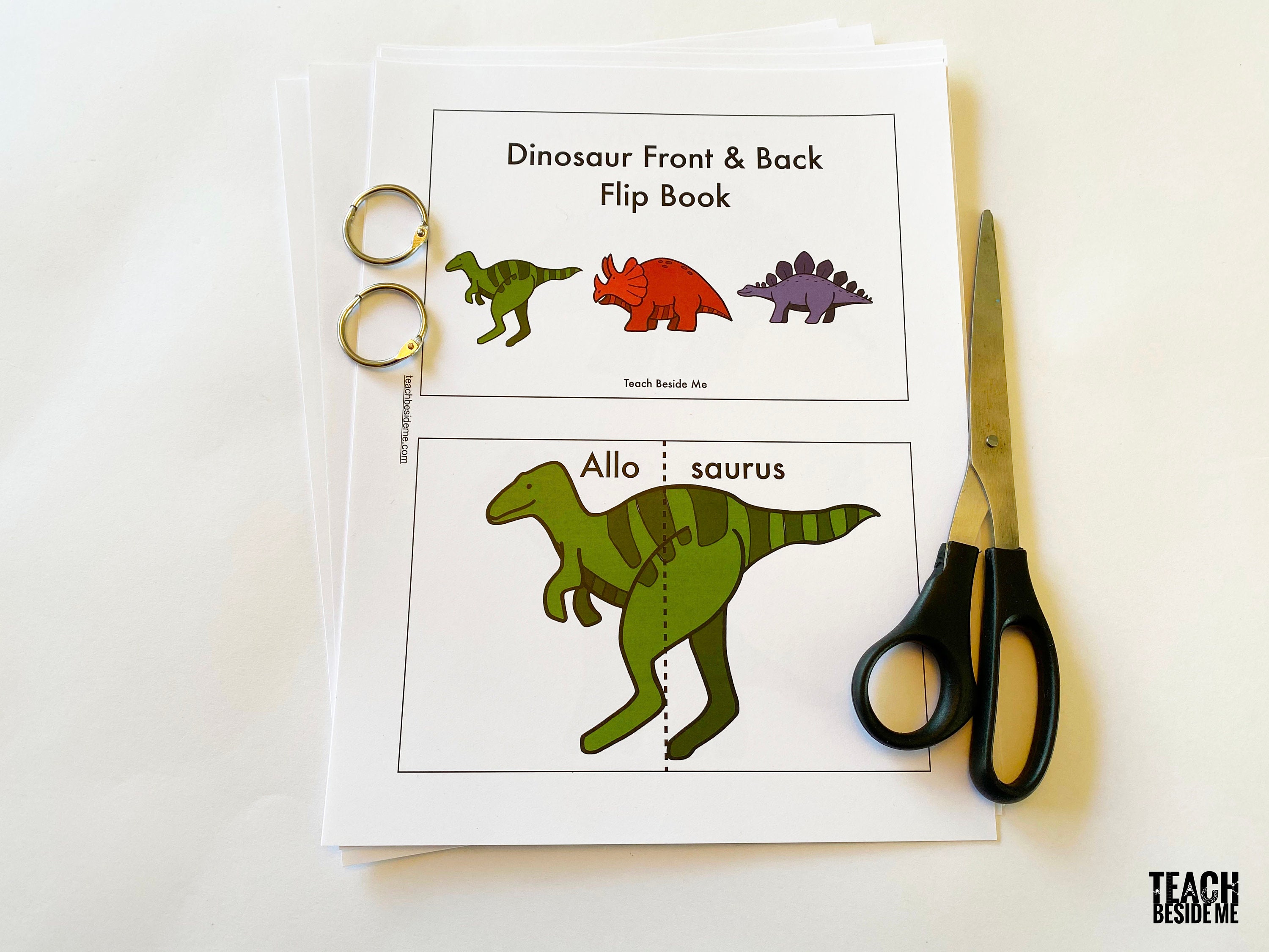 Dinosaur Front and Back Flip Book - Etsy UK