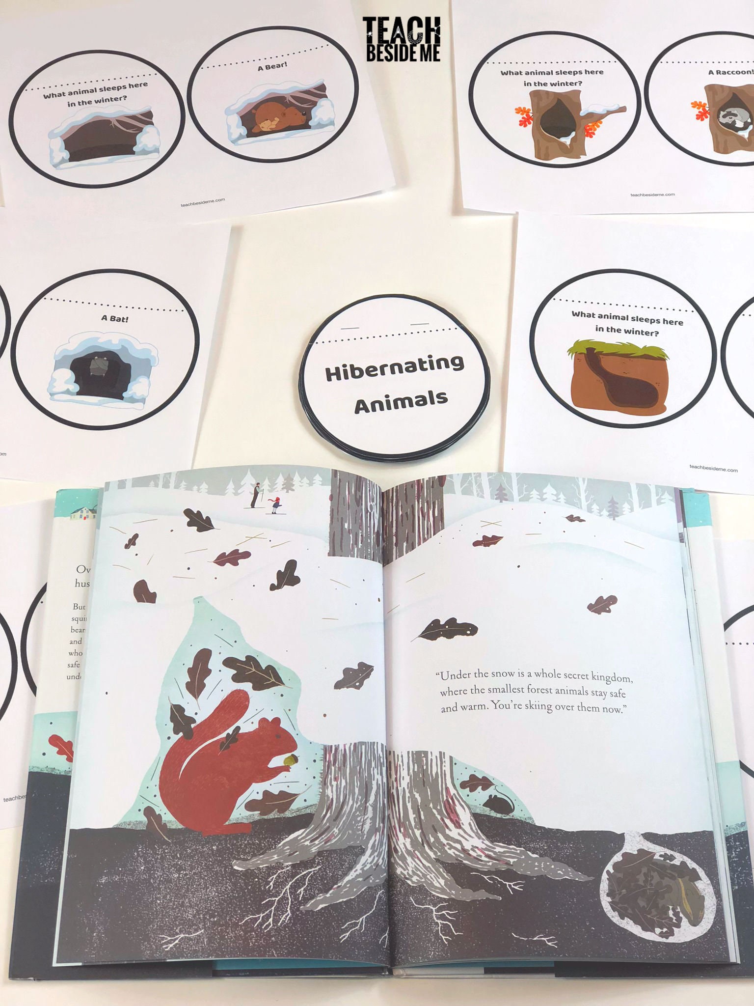 Hibernating Animals Mini Book - Etsy