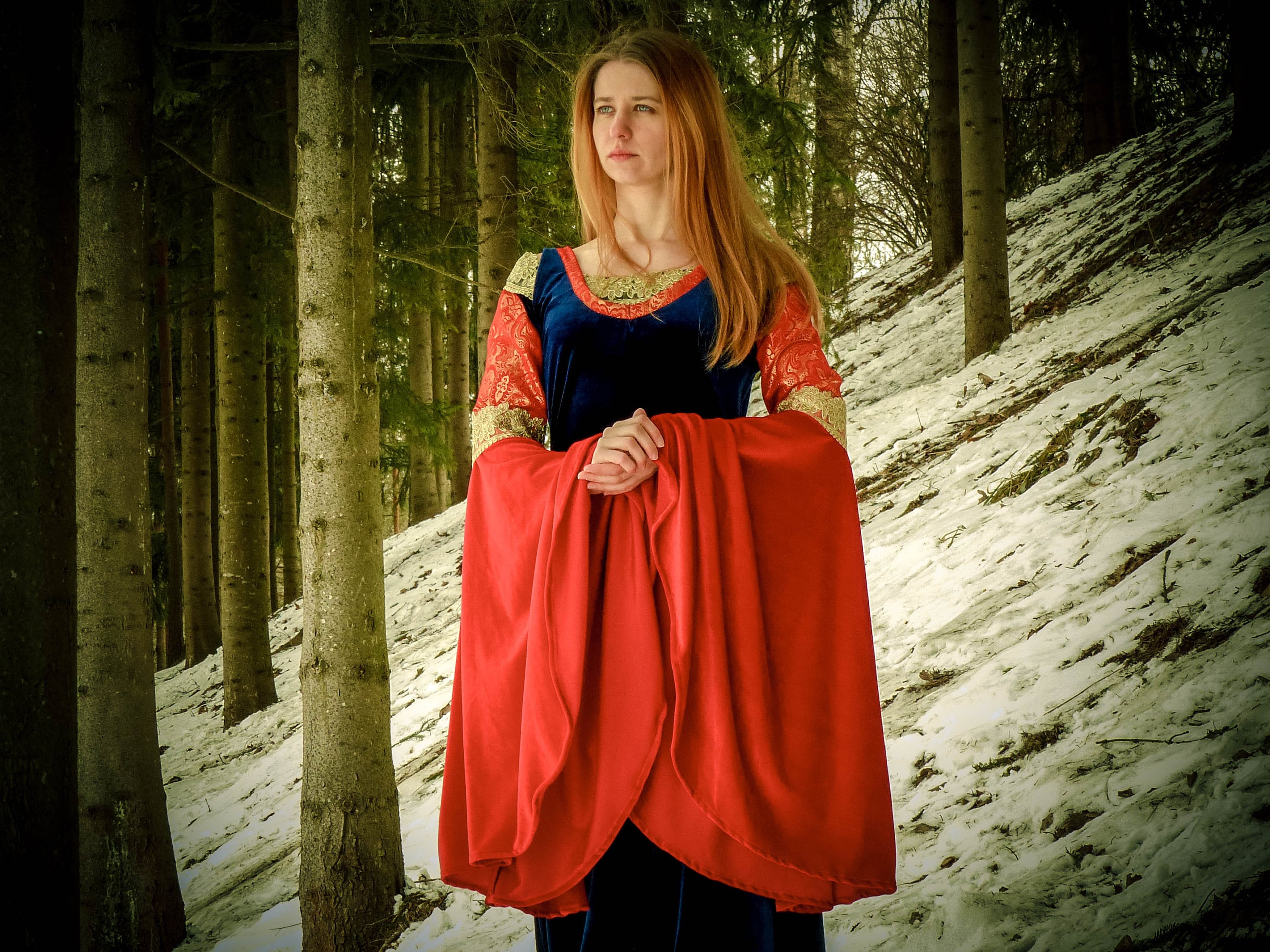 Arwen blood red dress Arwen cosplay Arwen costume The | Etsy