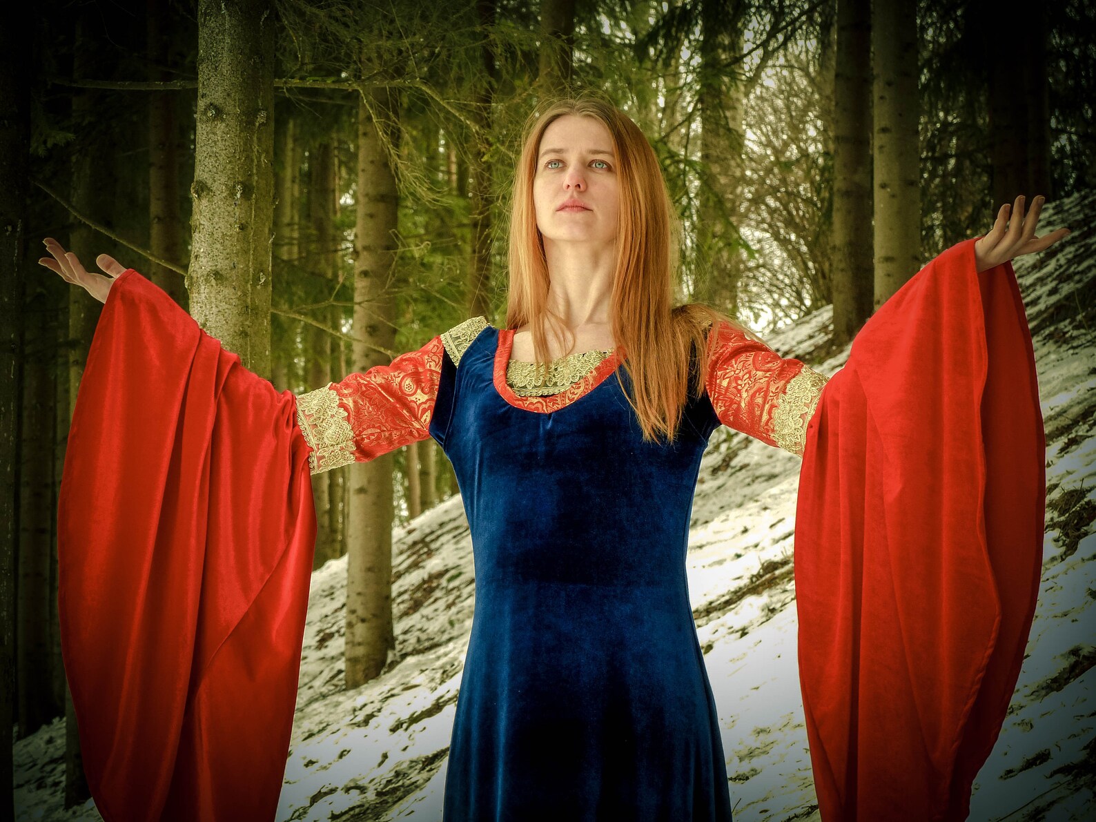 Arwen blood red dress Arwen cosplay Arwen costume The | Etsy