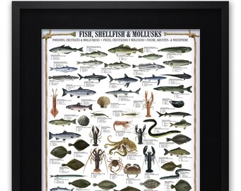 Fish Poster | Etsy