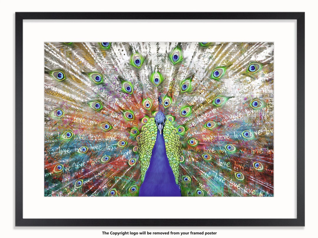 The Peacock - Beautiful Colourful Art Poster - Etsy