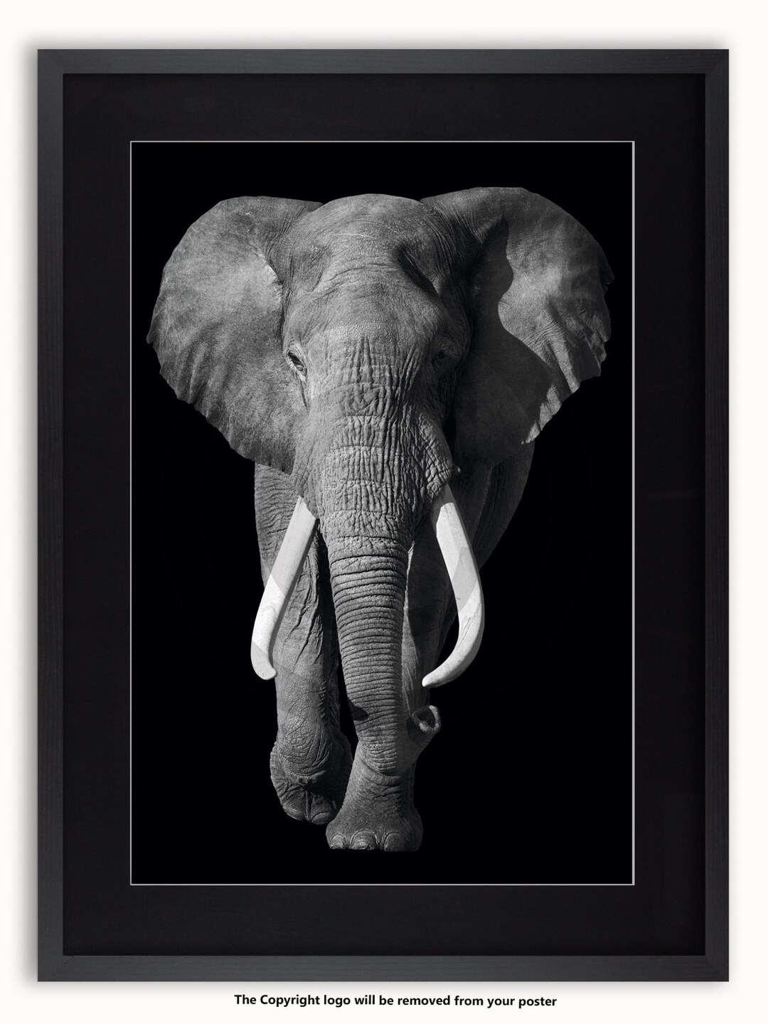 The Amazing Elephant Poster - Etsy