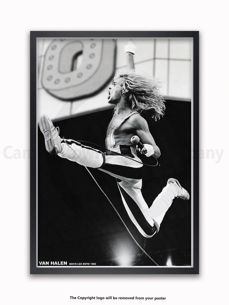 Van Halen - David Lee Roth 1980 - Licensed Poster - Etsy