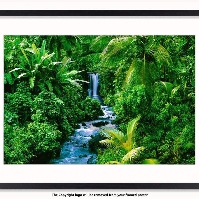Rainforest Poster - Etsy UK