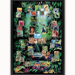 The Tropical Rainforest Poster - Etsy