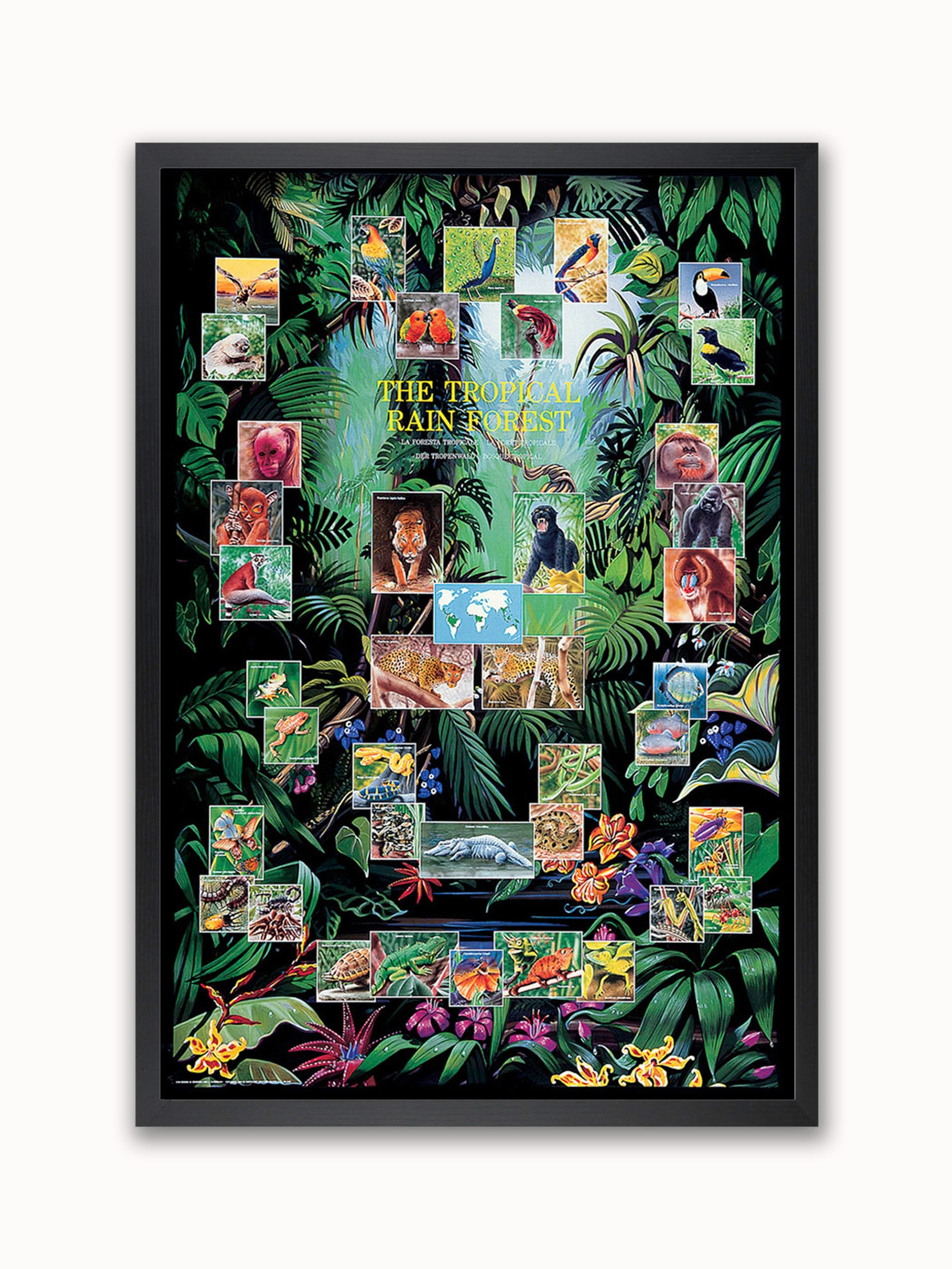 The Tropical Rainforest Poster | Etsy