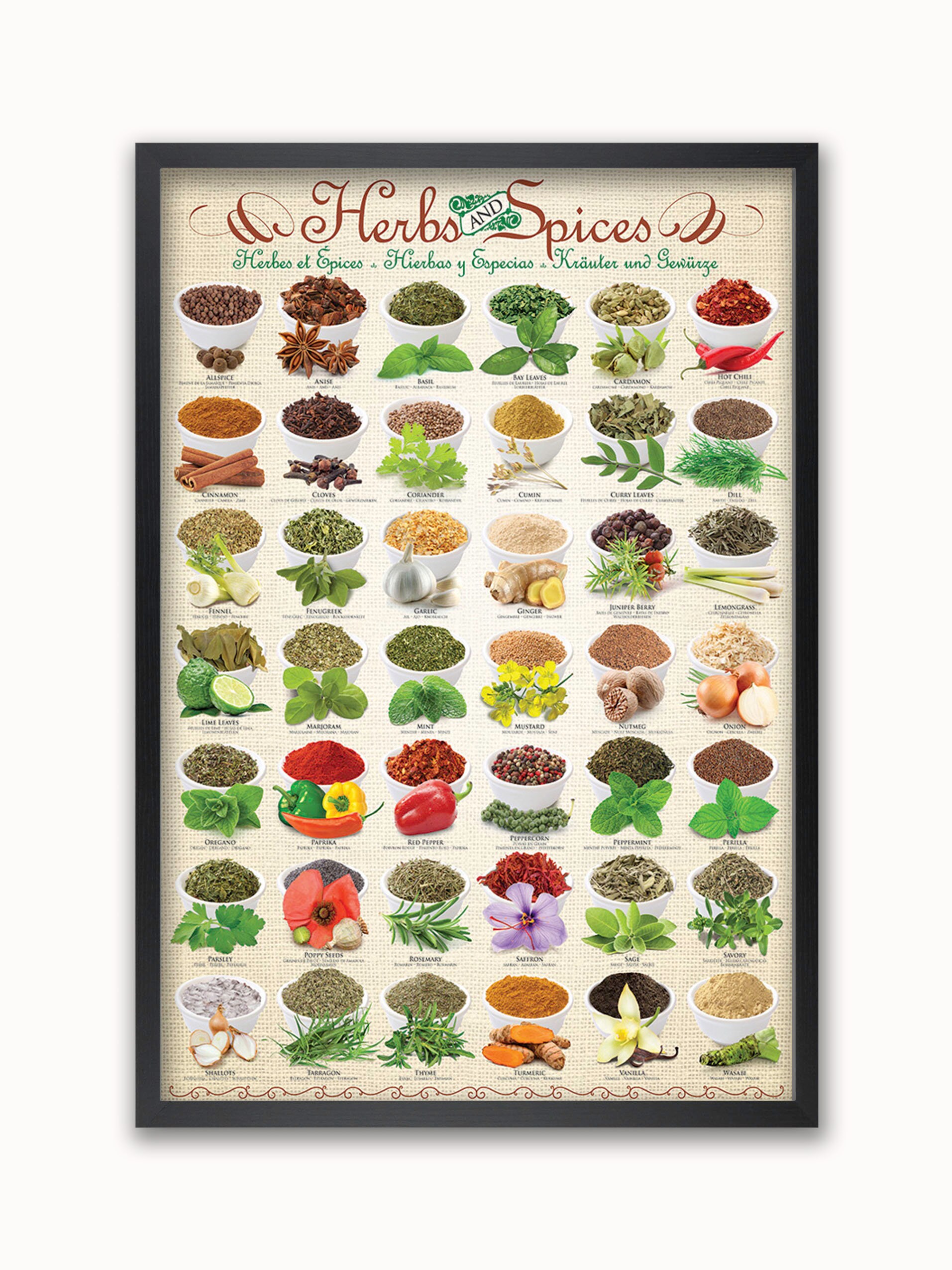 Herbs & Spices Poster | Etsy