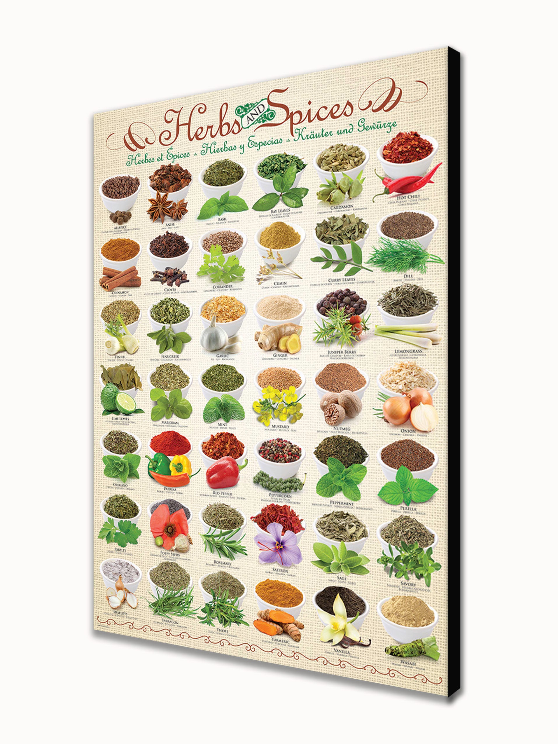 Herbs & Spices Poster | Etsy