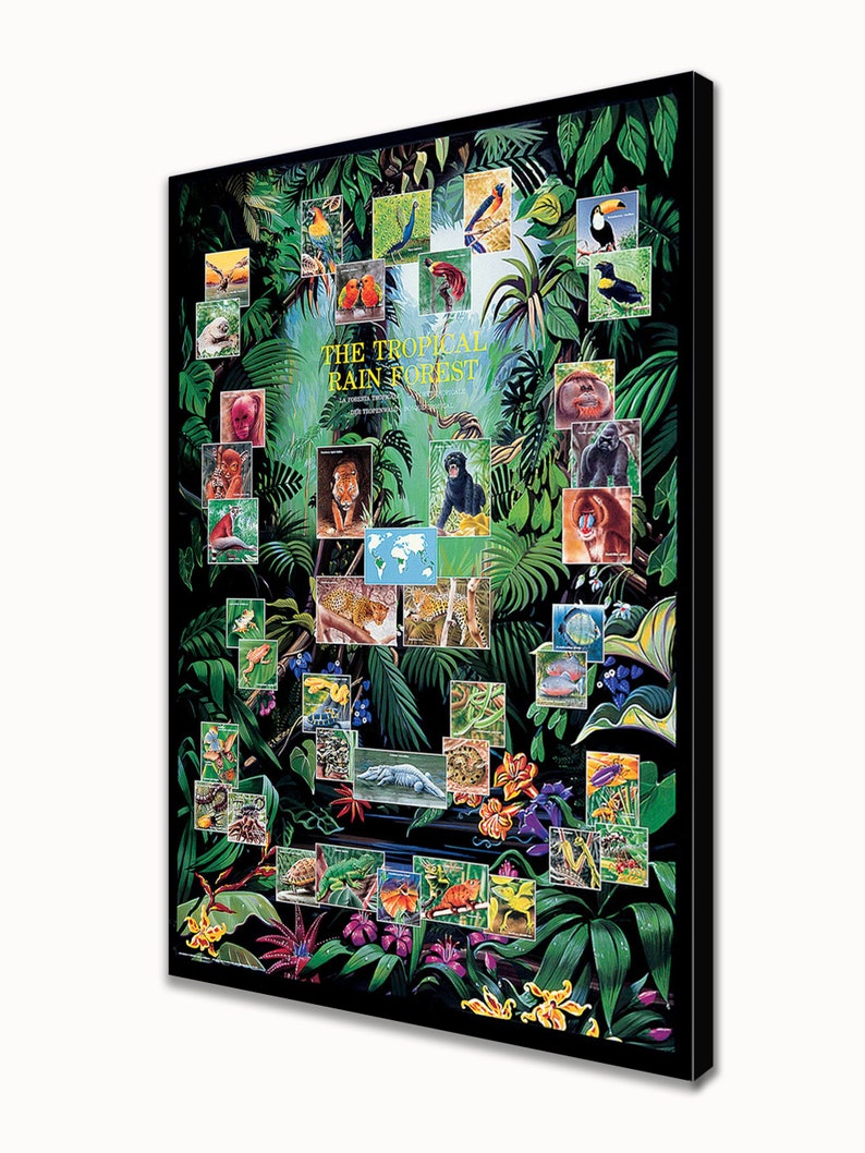 The Tropical Rainforest Poster - Etsy