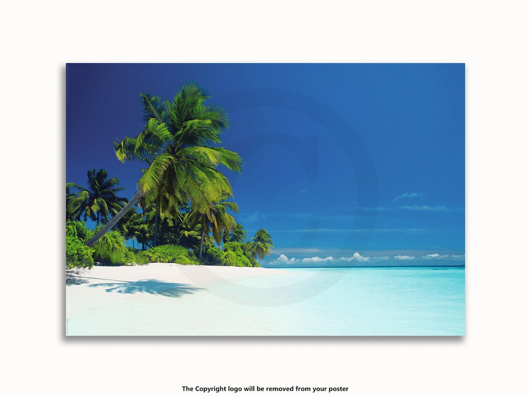Palm Tree Beach Poster - Etsy