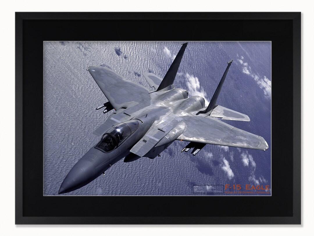 F15 Eagle Poster - Etsy