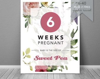 Pregnancy Week by Week Gender Neutral Instant Download | Etsy